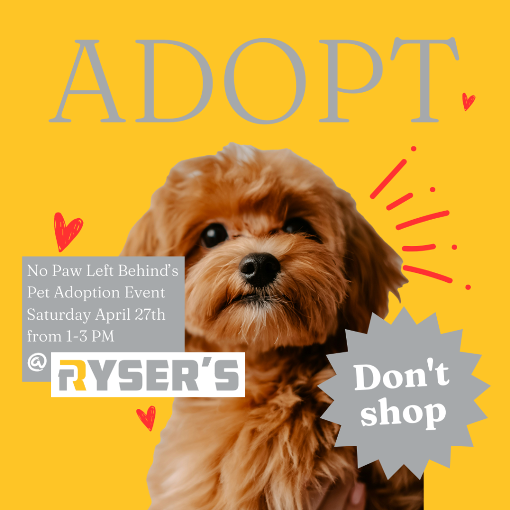 Pet Adoption Event - Ryser's