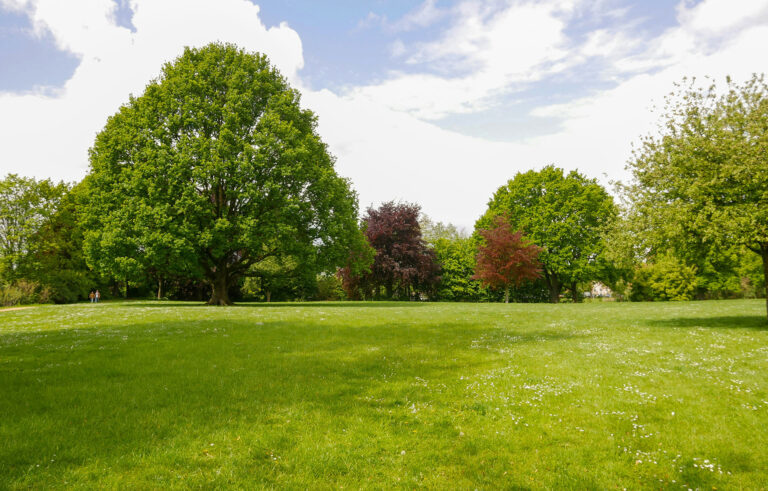 The Ultimate Guide to Seeding Your Lawn in Central New Jersey - Ryser's